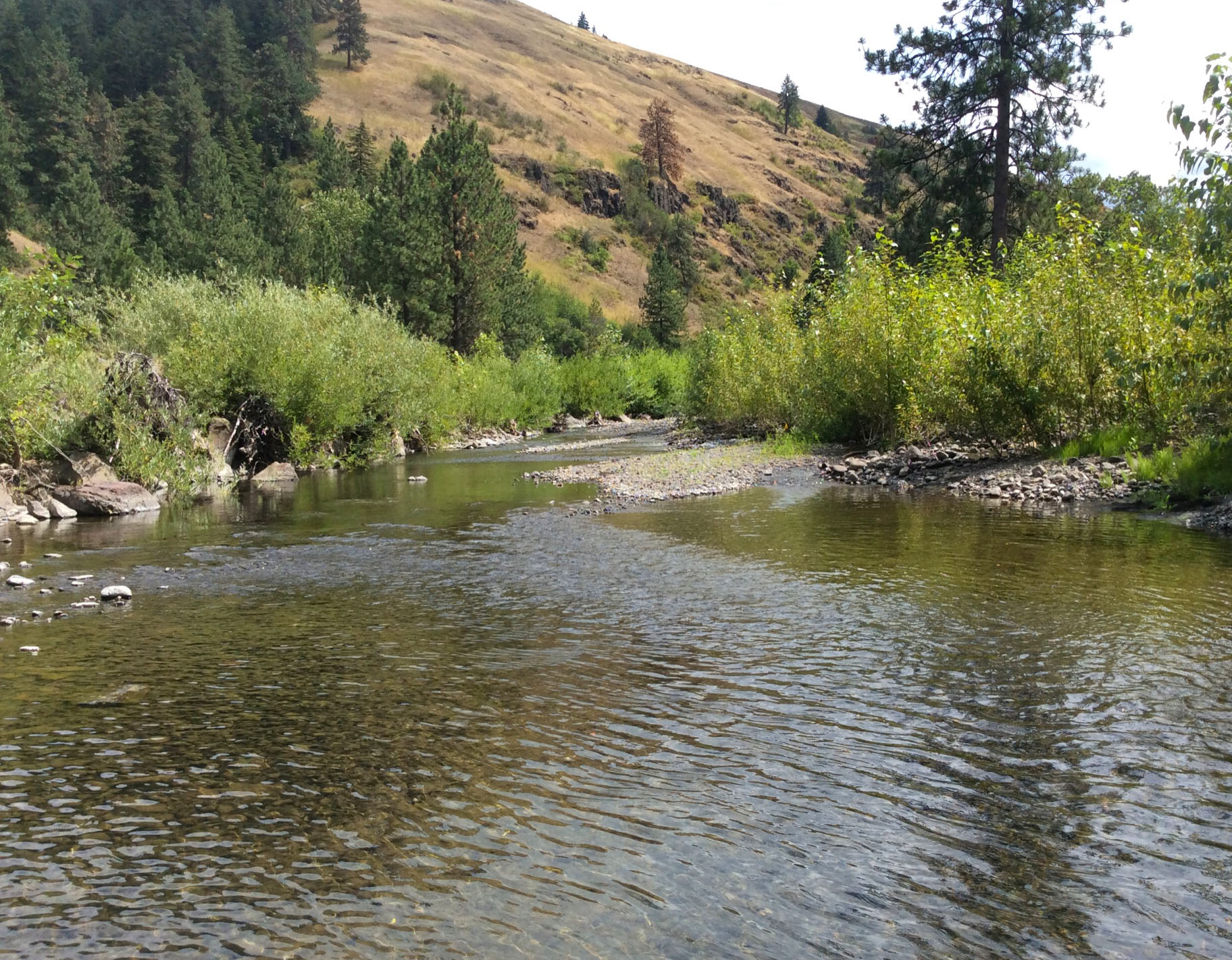 CTUIR Fisheries Habitat Program